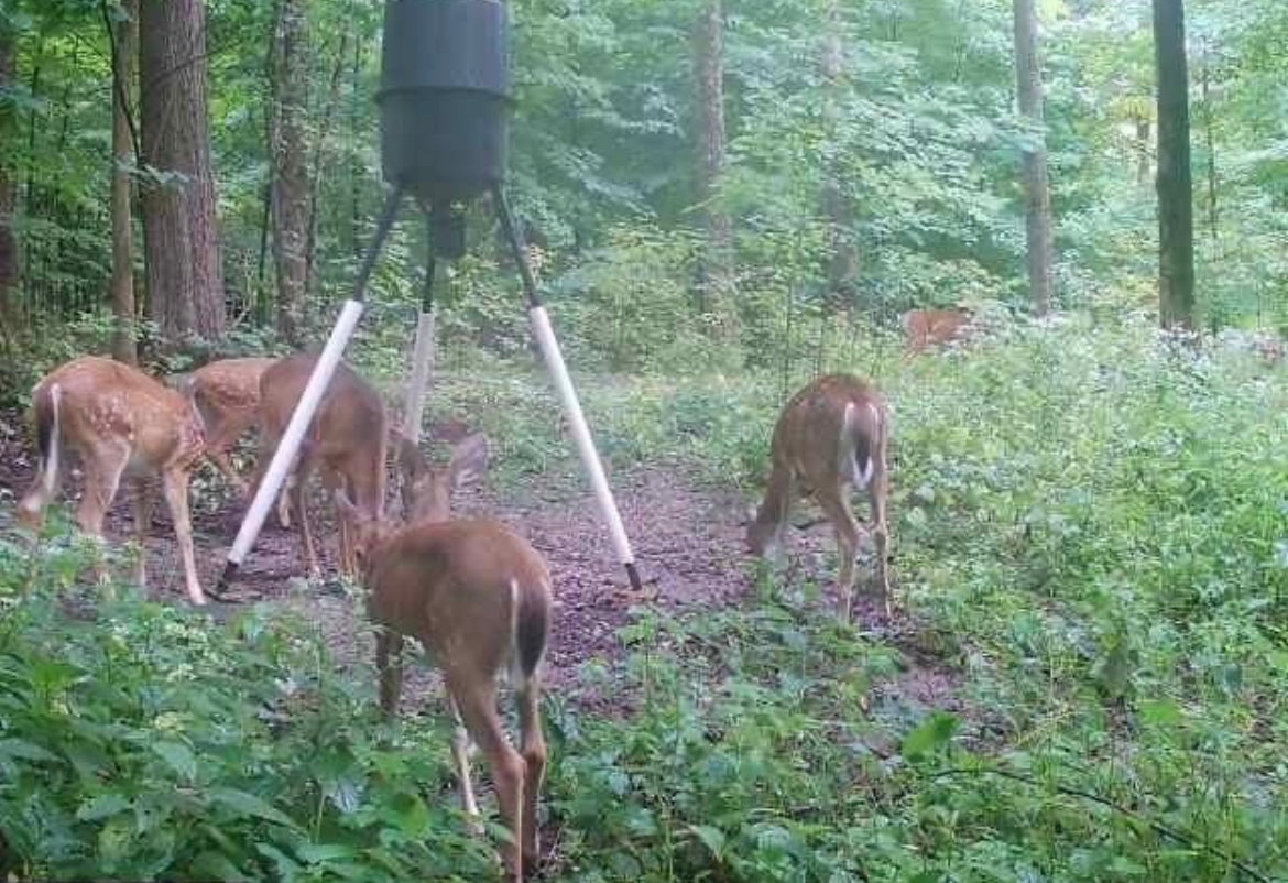 Catalog – Forget Genetics